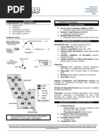 Flow Chart For Bacterial Identification | PDF