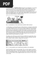 Macbeth Glossary: Graymalkin Explained | PDF | Young Adult