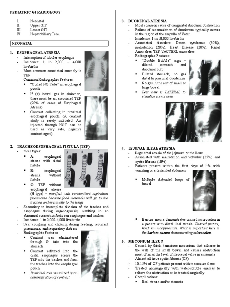 Pediatric GI Radiology | PDF | Esophagus | Liver