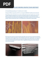 Boiler Inspection Report Template | Boiler | Chemical Process Engineering