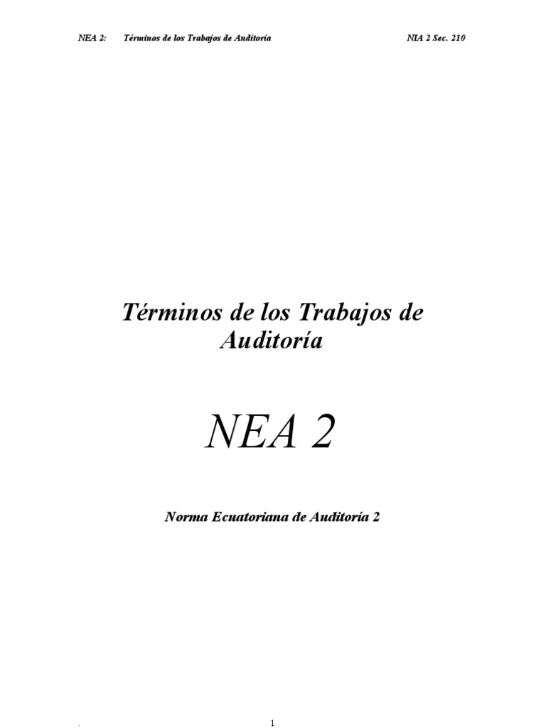Nea 02 | PDF | Auditoría financiera | Contralor