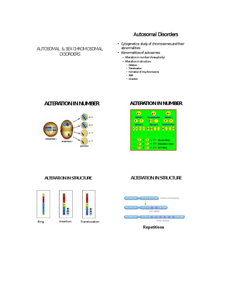 Alteration in Number: Autosomal Disorders | PDF | Genetics | Genetic ...