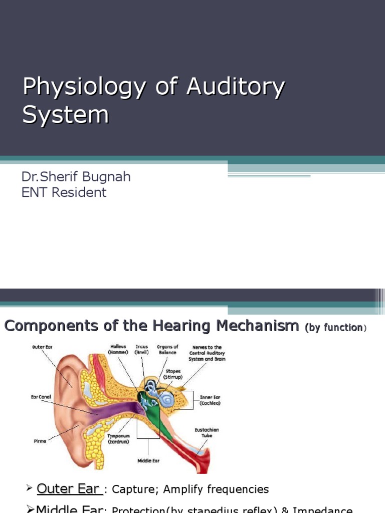Physiology of Hearing Otolaryngology | PDF | Auditory System | Ear