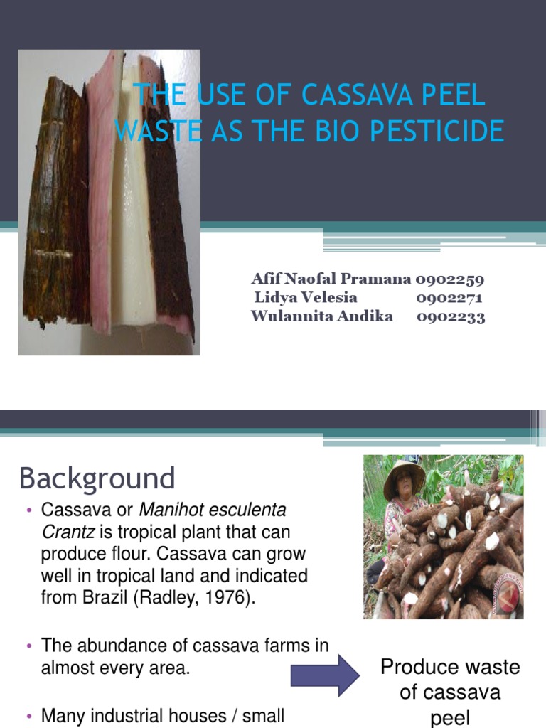 Cassava Peel Waste as Bio-Pesticide | PDF | Chemical Substances | Chemistry