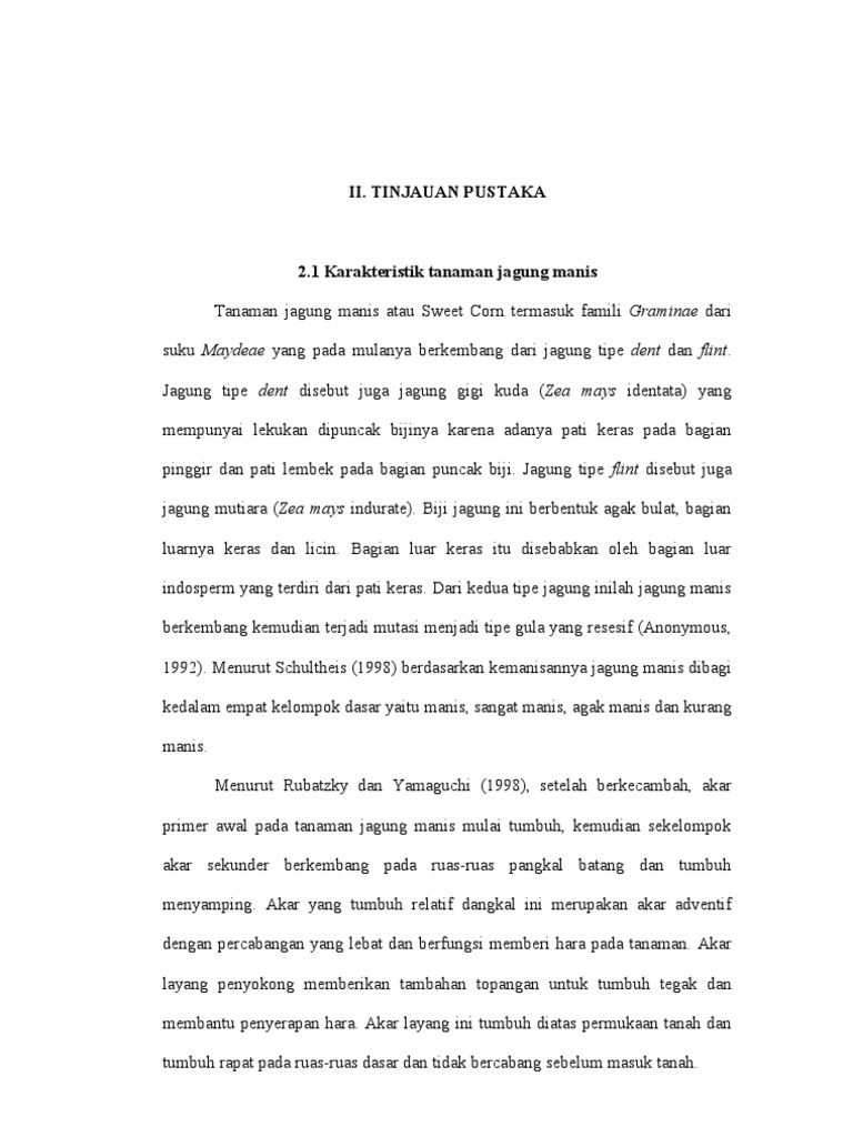 Pemanfaatan Mulsa Paitan (Tithonia Diversifolia) Sebagai Bahan Organik ...