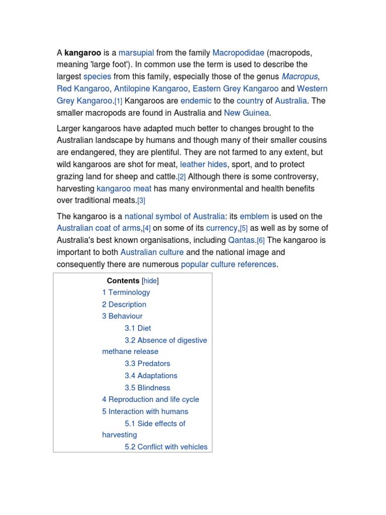 Kangaroo Facts and Behavior Guide | PDF | Nature