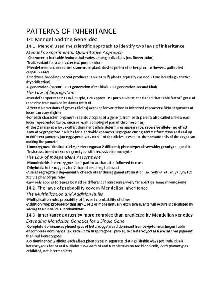 08 30 Patterns of Inheritance | PDF | Dominance (Genetics) | Allele