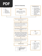 Pathophysiology of Typhoid Fever | PDF | Salmonella | Bacteria