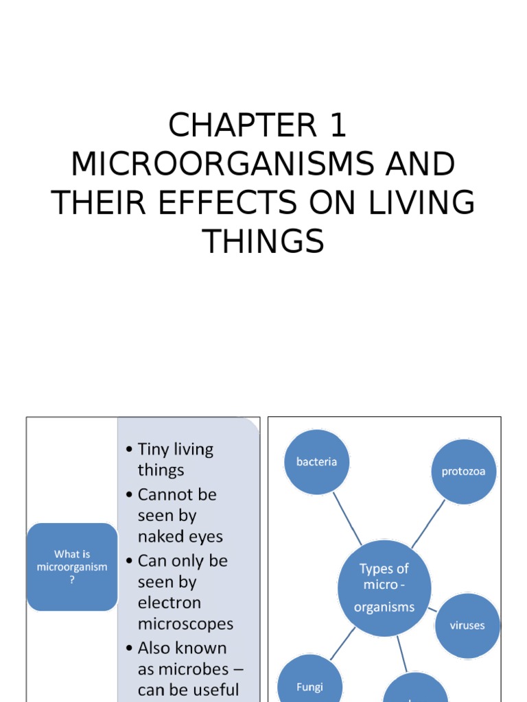 Science Form 5 | PDF | Microorganism | Protozoa
