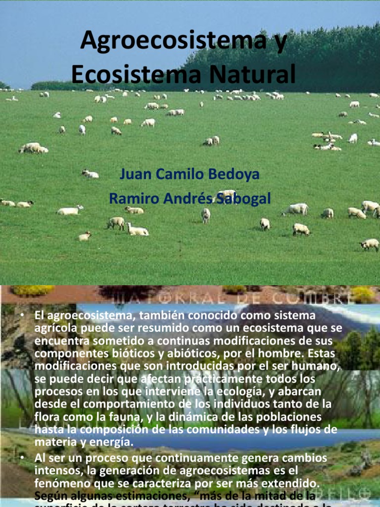 Agroecosistema y Ecosistema Natural | Ecosistema | Ecología