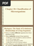 Taxonomy Foldable PPT