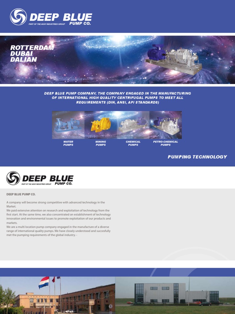 Deep Blue Pump Co.: Global Manufacturing Leader | PDF | Pump | Industries