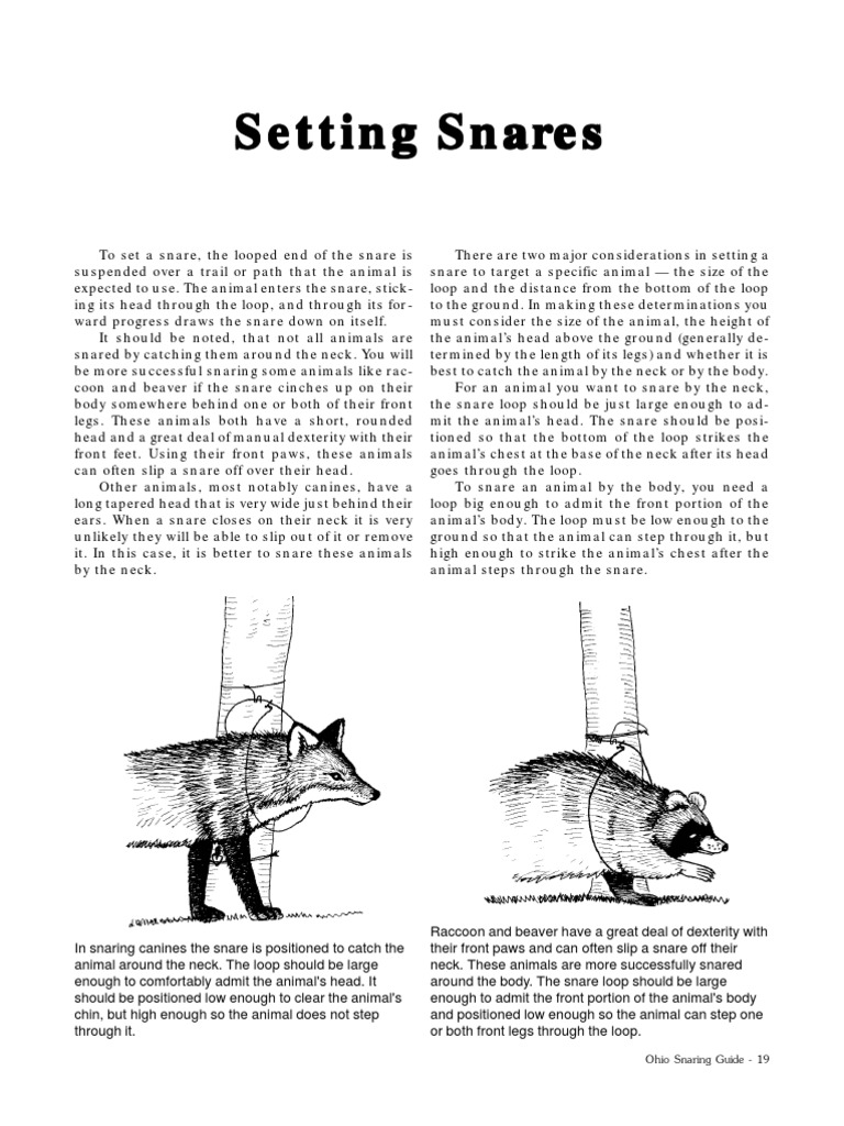 Setting Snares | PDF | Trapping | Nature