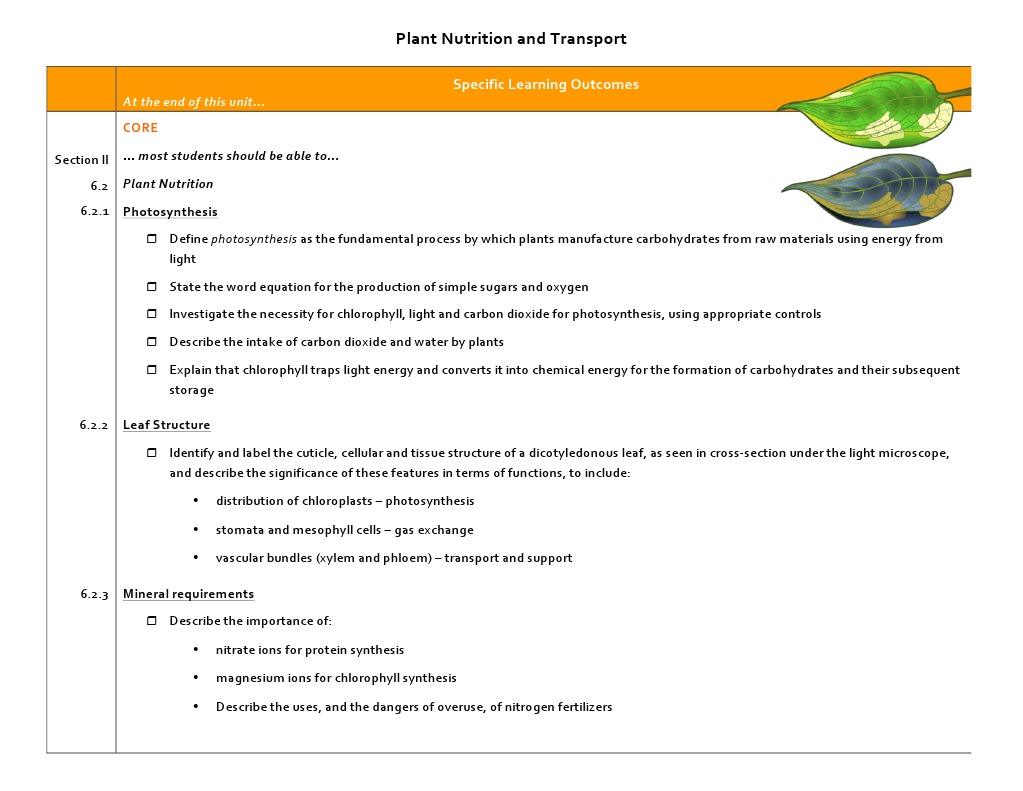 Plant Nutrition and Transport Overview | PDF | Photosynthesis | Root