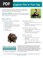 CSU Canine Acute Pain Scale Guide | PDF | Pain | Diseases And Disorders