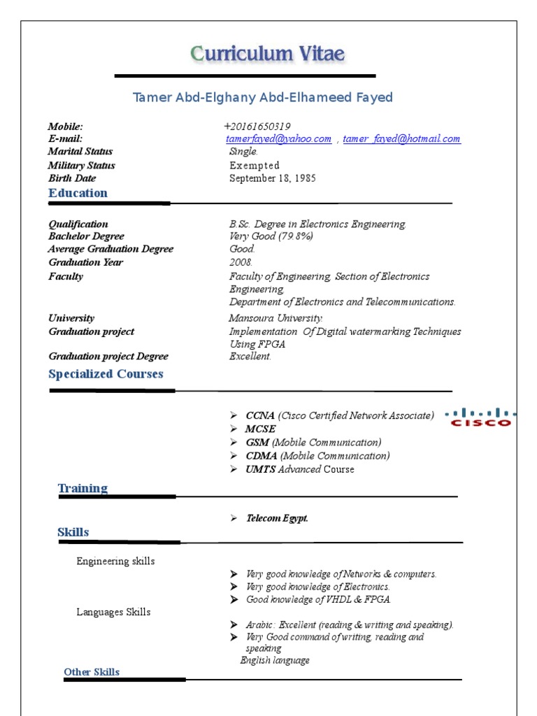 Tamer CV | PDF | Technology & Engineering