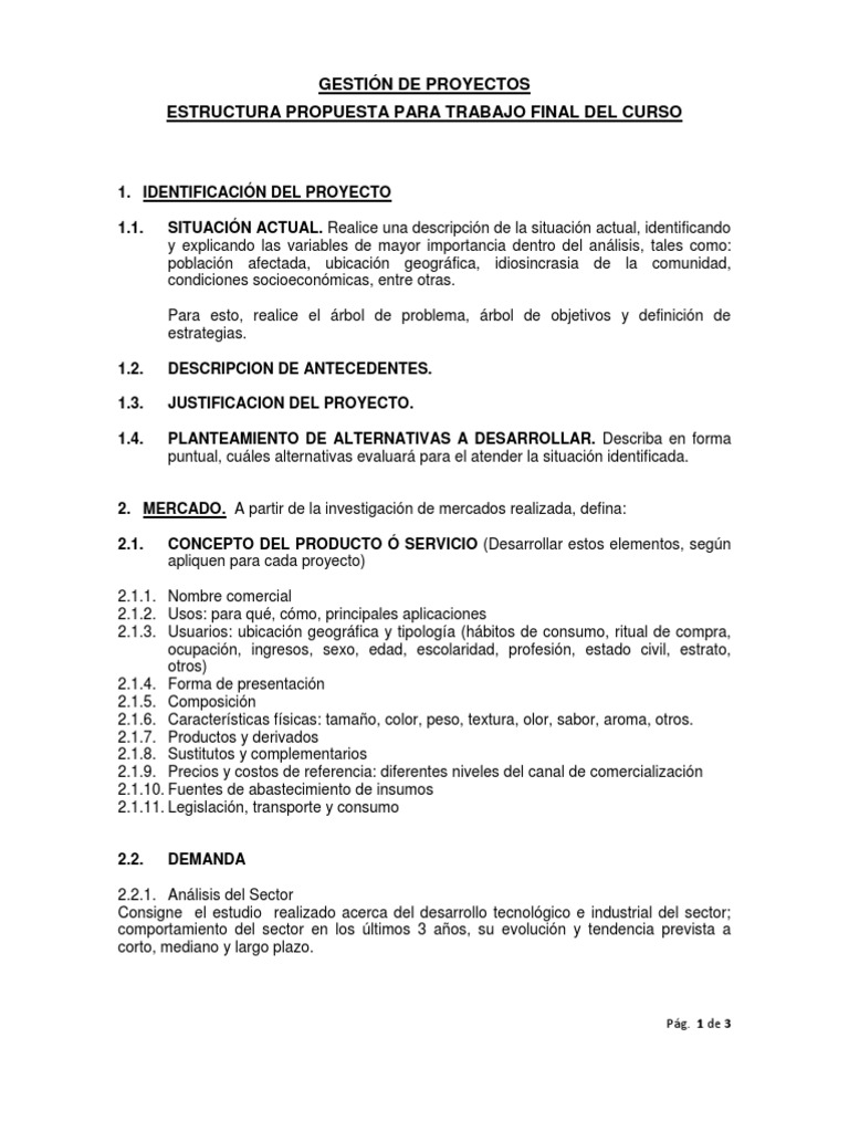 Estructura Proyecto PDF | PDF | Producto (Negocio) | Mercado (economía)
