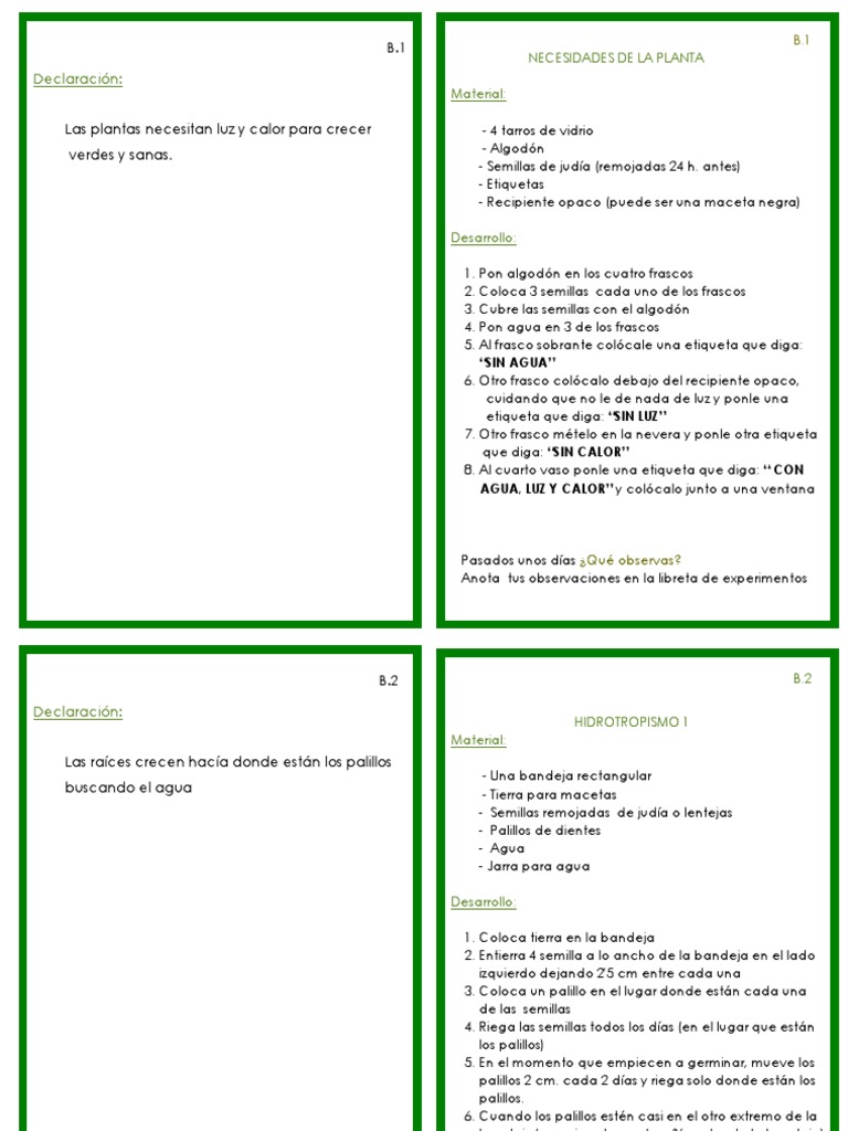 Experimentos sobre Hidrotropismo en Plantas | PDF | Hoja | Papel