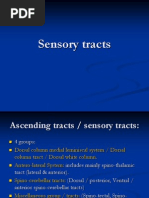WOMAC Osteoarthritis Index Form | PDF | Clinical Medicine | Medical ...