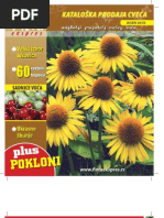 Ruze Topalovic Katalog | PDF
