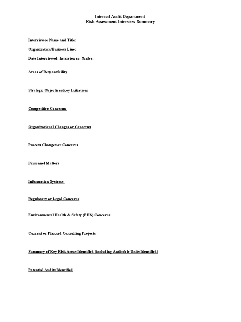 Audit Plan Interview Sheet | PDF | Business