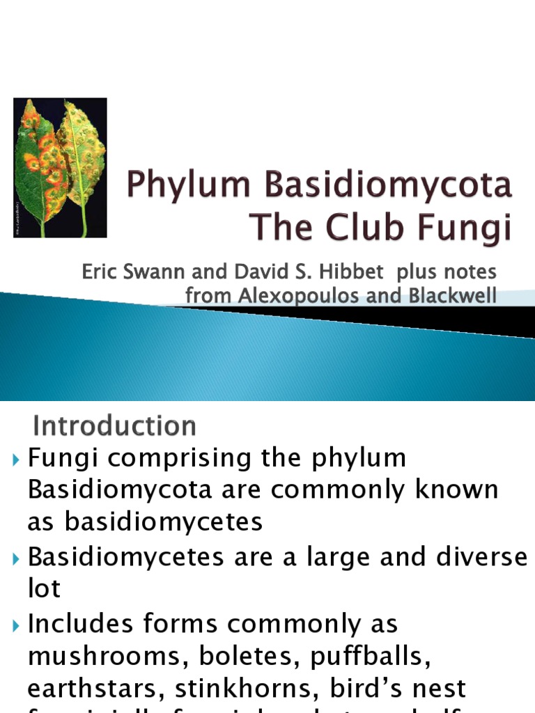 Basidiomycota fungi overview and key characteristics | PDF | Mushroom ...