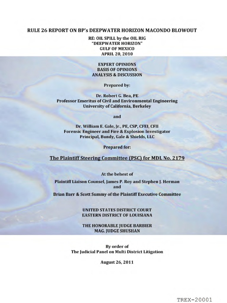 Robert Bea Report On Deepwater Horizon Blowout | PDF