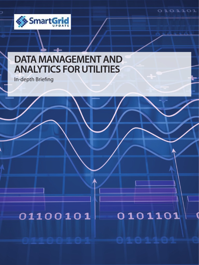 Data Management White Paper | PDF | Business