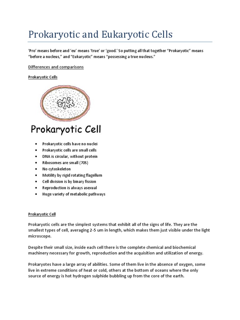 Prokaryotic and Eukaryotic Cells | PDF | Eukaryotes | Cell (Biology)
