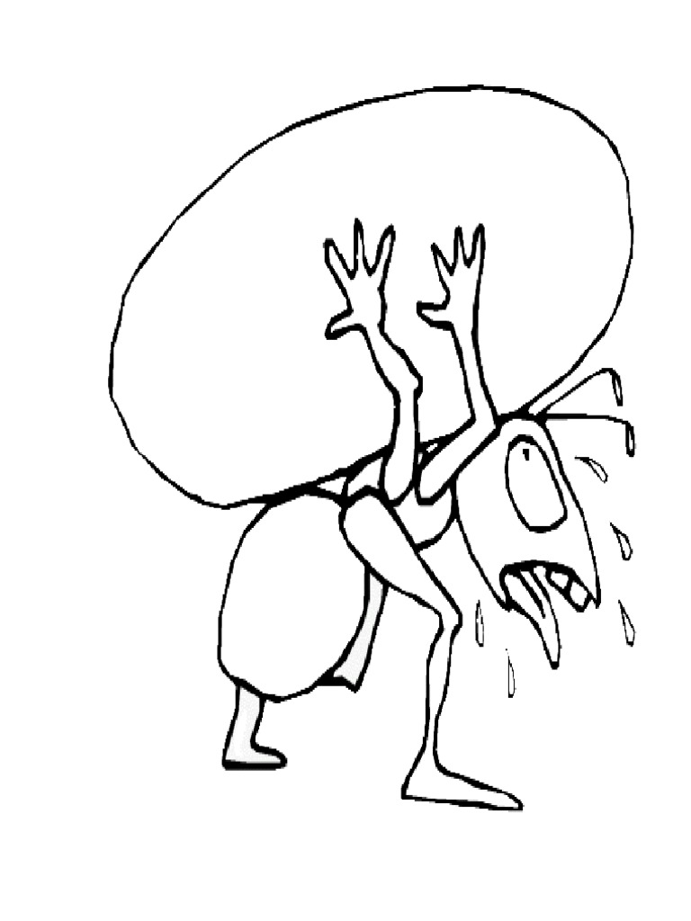 Planse de Colorat Cu Insecte | PDF