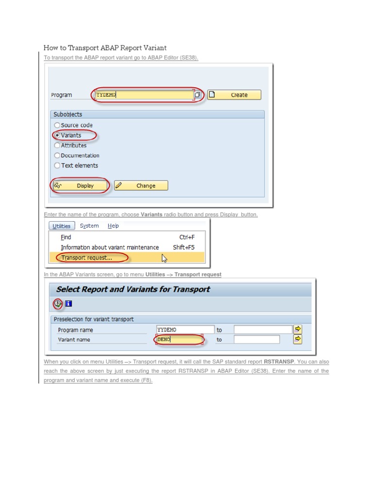 How to Transport ABAP Report Variant | PDF | Subroutine | Filename