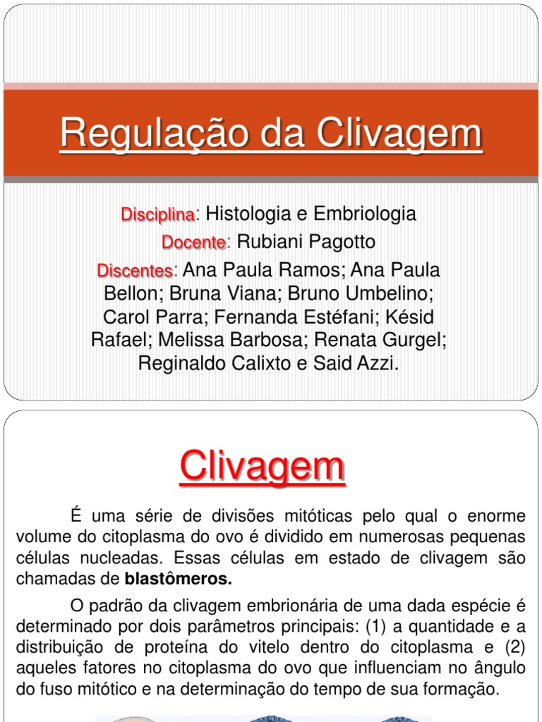 Tipos de Clivagem | Ovo | Reprodução