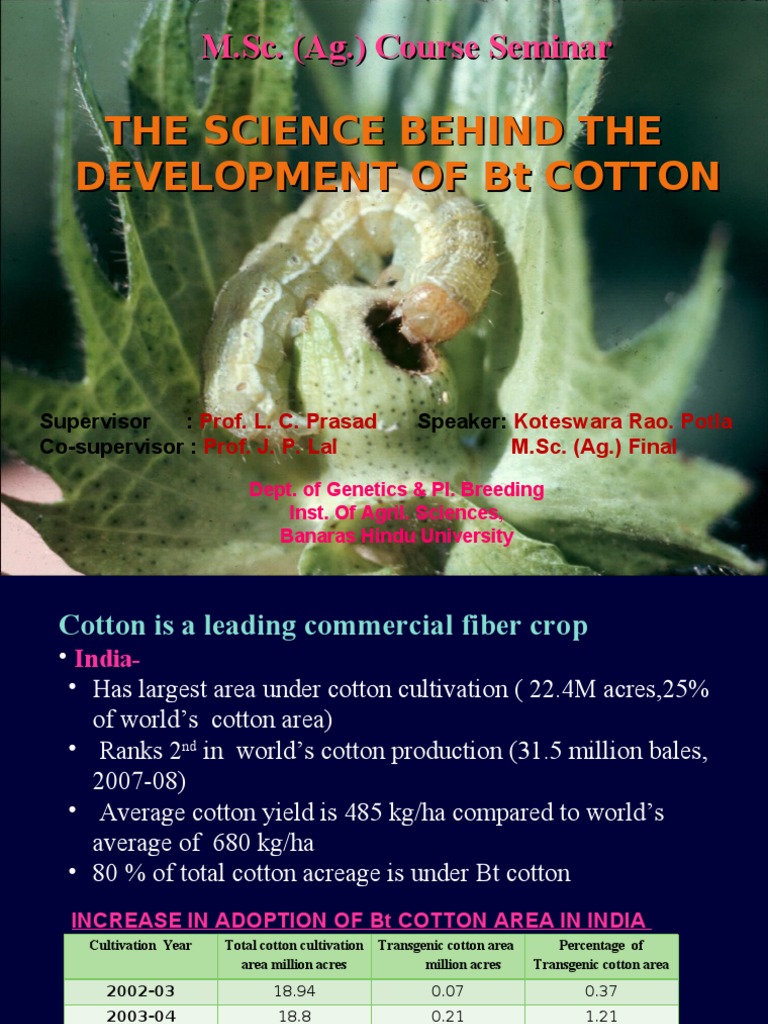 Science of Bt Cotton Development | PDF | Plasmid | Gene