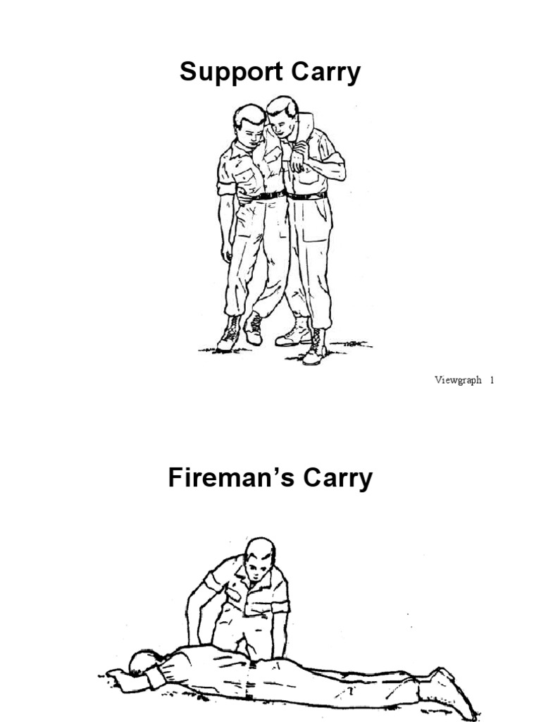 Support Carry: Viewgraph 1 | PDF