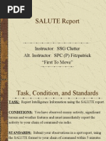 SALUTE Report Guidelines and Example | PDF | History