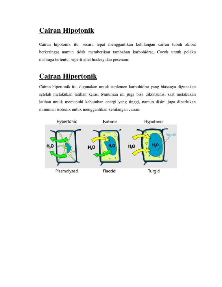 Cairan Hipotonik | PDF