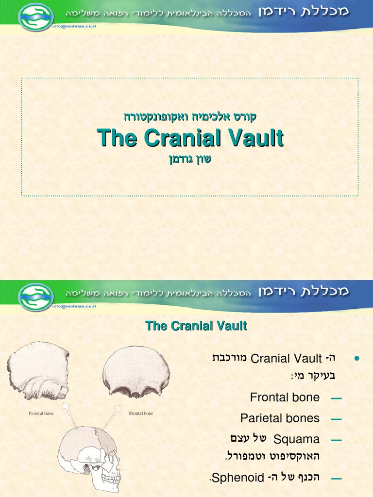 The Cranial Vault | PDF