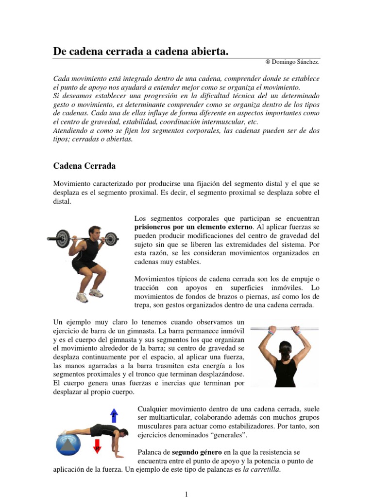 Cadena Cinetica Cerrada y Abierta | Músculo | Hueso