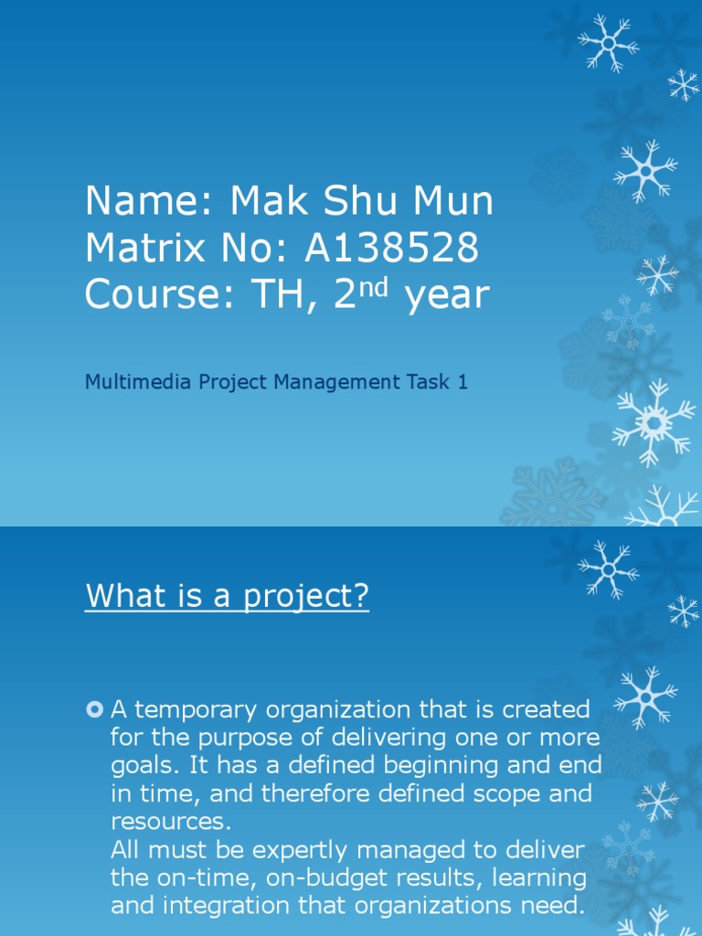 Understanding Project Management Basics | PDF