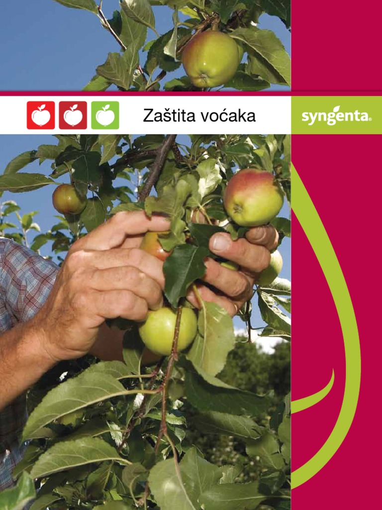 Brosura Voca2012 Web