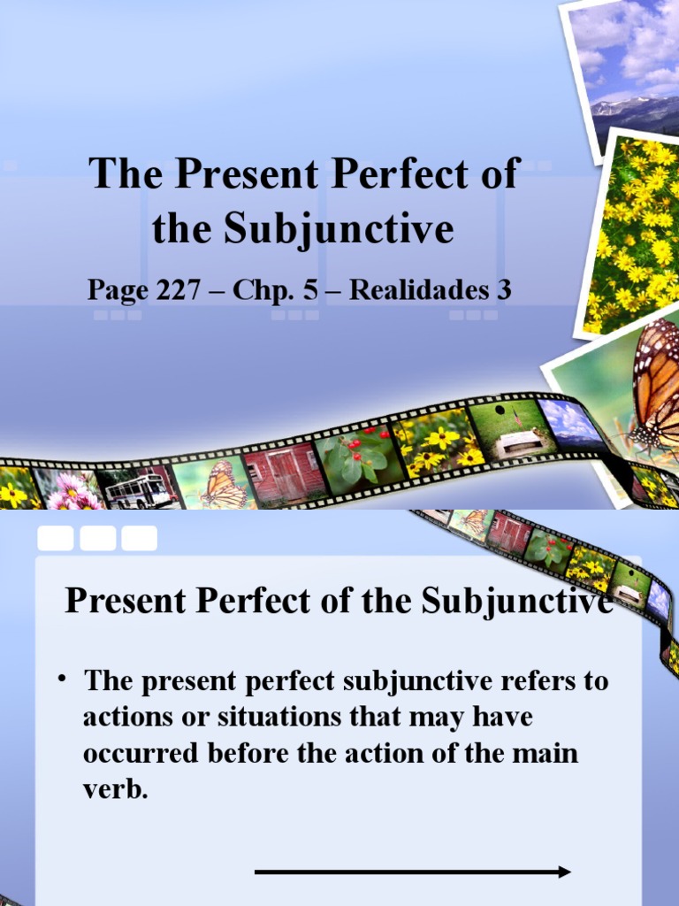 Present Perfect Subjunctive Explained | PDF