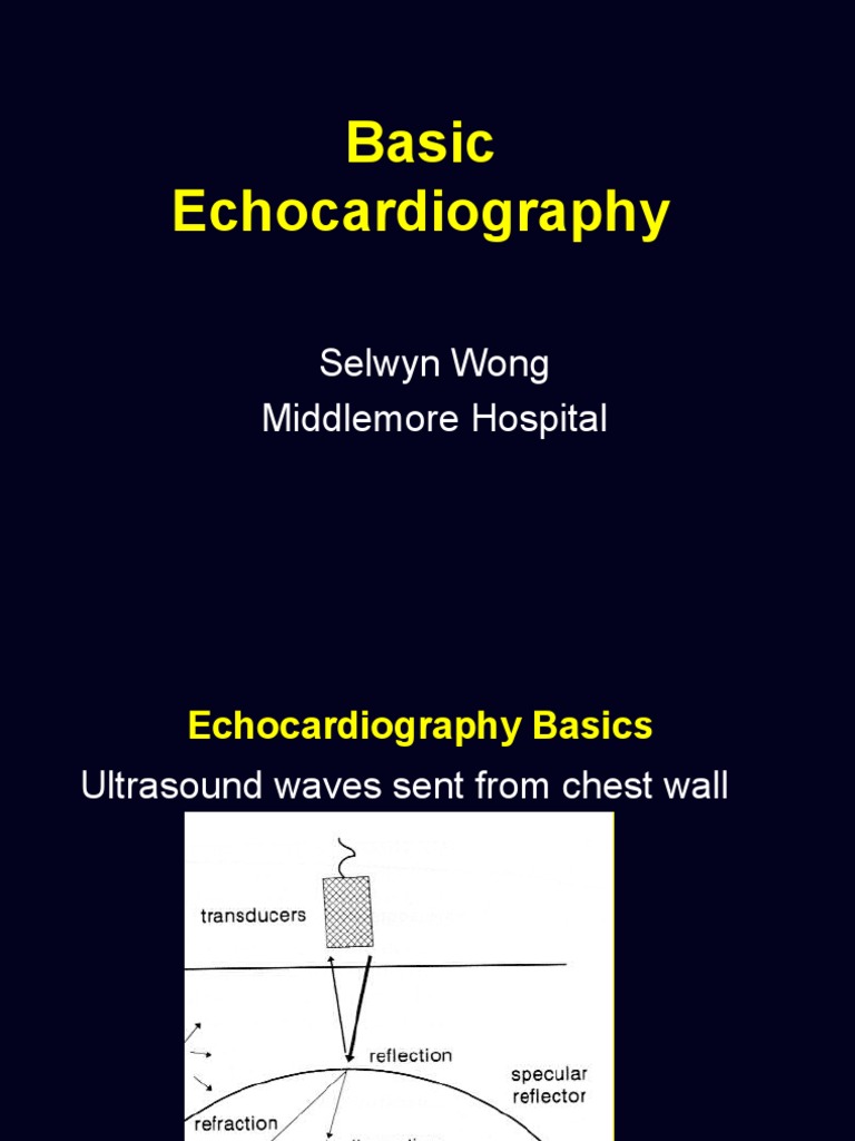Basic Echocardiography | PDF | Ventricle (Heart) | Diastole