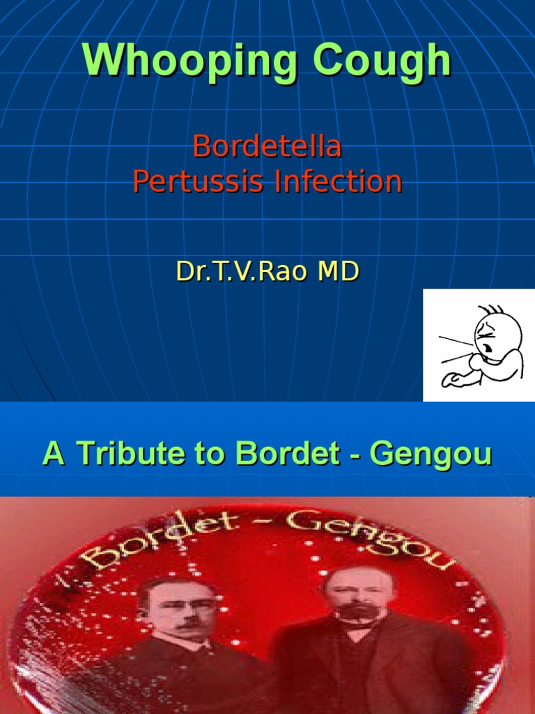 Bordetella | PDF | Infection | Biology
