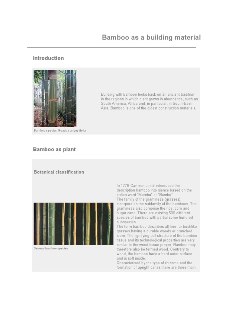 Intro To Bamboo and Bamboo Building | PDF | Bamboo | Roof