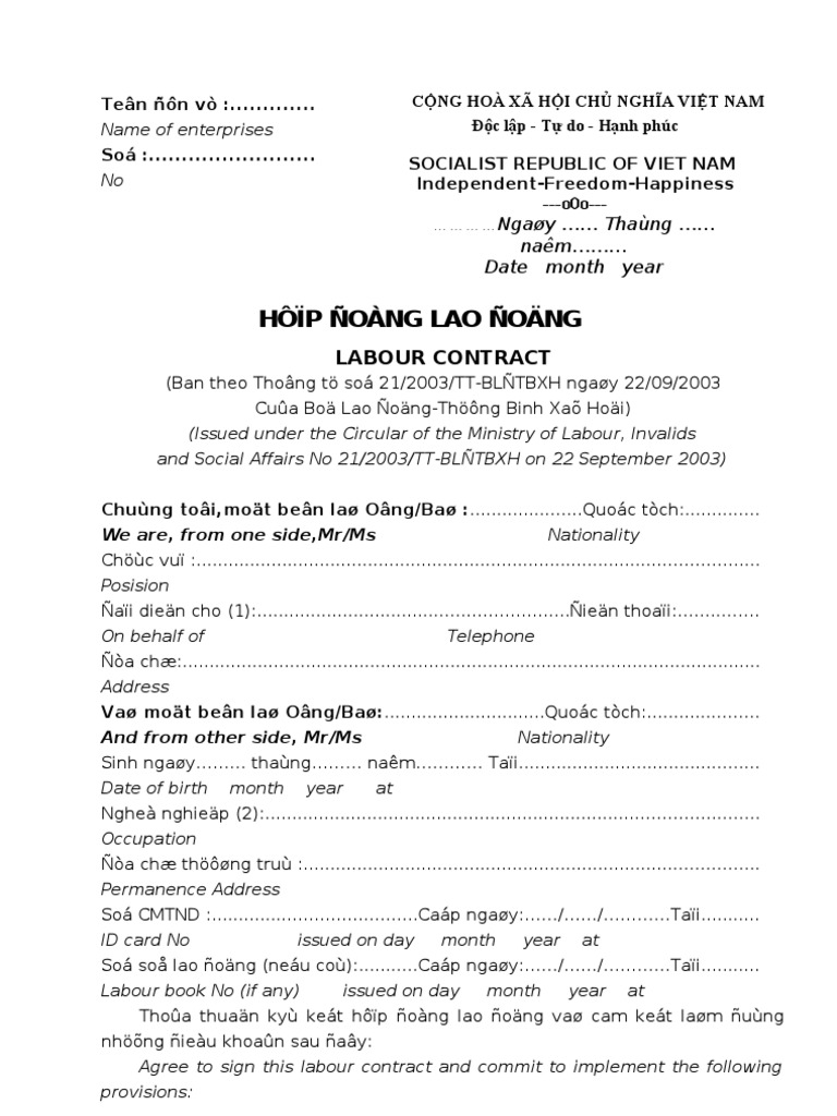 Mau HDLD Cua VN Bang Tieng Anh | PDF