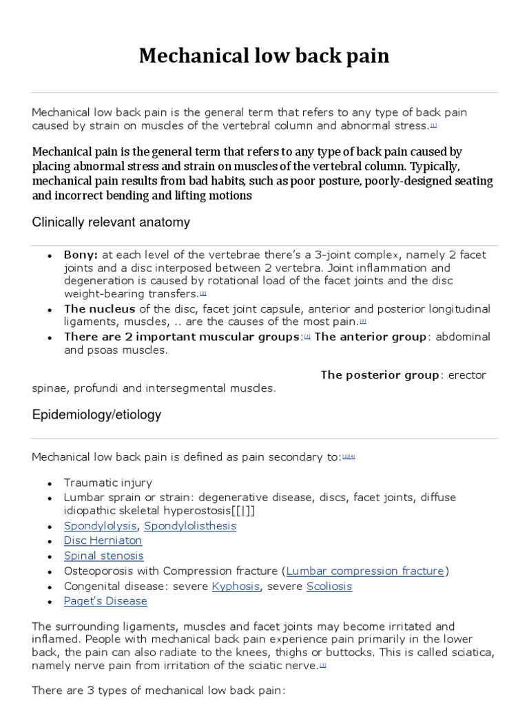 Mechanical Low Back Pain: Clinically Relevant Anatomy | PDF | Back Pain ...