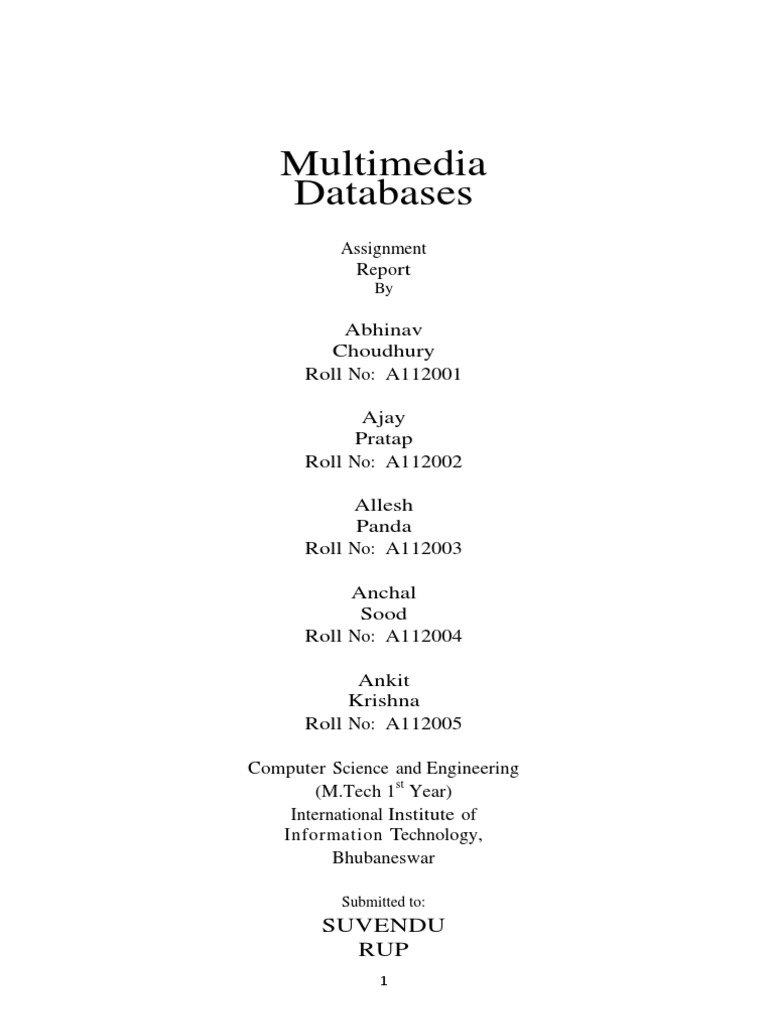 Multimedia Database Report | PDF | Metadata | Information Science