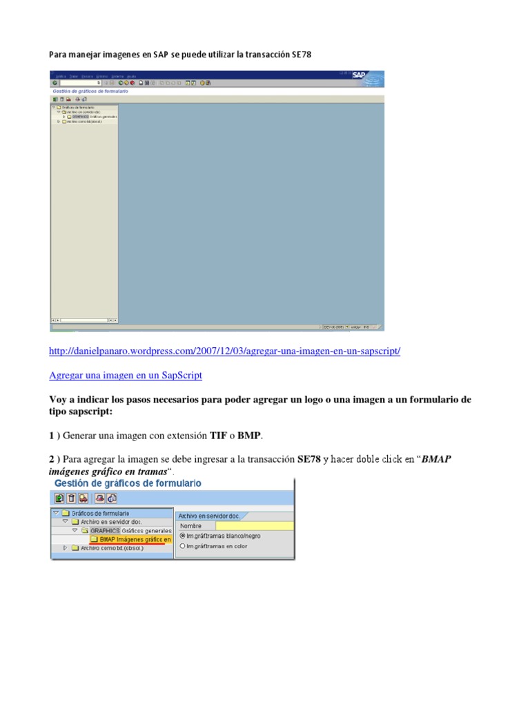 Imagenes en SAP Se Puede Utilizar La Transacción SE78 | PDF | Informática