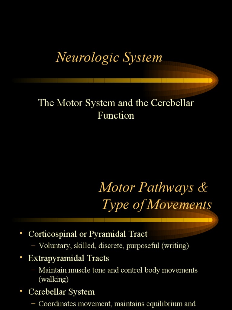 Proprioception & Cerebellar Function | PDF | Anatomical Terms Of Motion ...