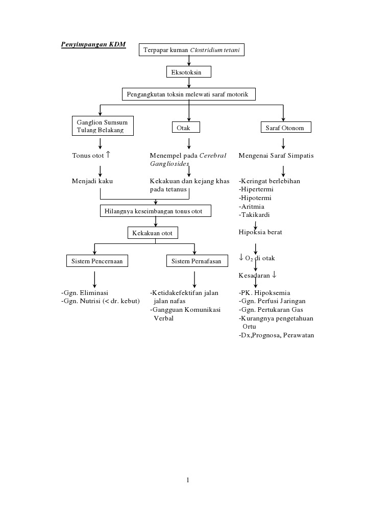 Pathway Tetanus | PDF